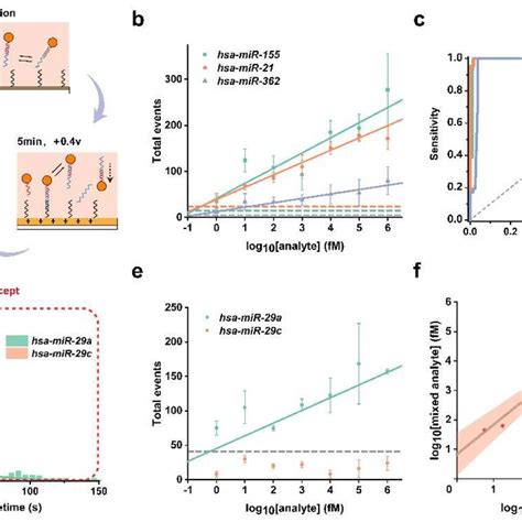 Rapid Mirna Testing Assay A The Workflow Of 15 Minute Mirna Assay Download Scientific