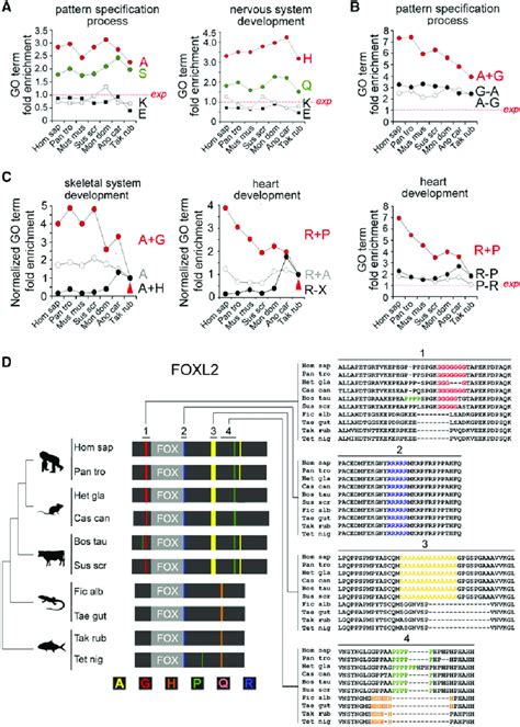 dynamically evolving associations of aars with dp functions a c download scientific diagram