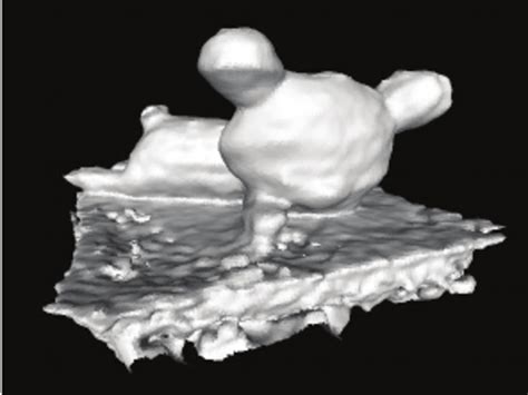 The Results Of Aligning And Merging Range Images B Is Extracted From