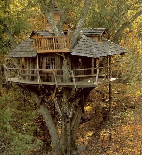 20 Tree House Design Ideas To Fill Backyards With Fun