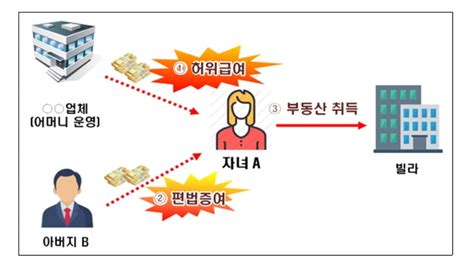`부모찬스`로 주택 구입편법증여 97명 세무조사 한국경제