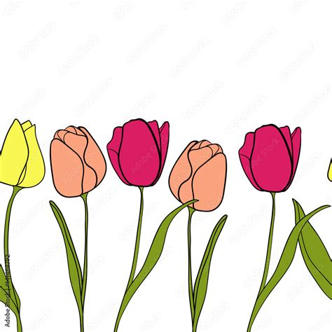 Tulip Flower Border Background Vector Stock Vector Adobe Stock
