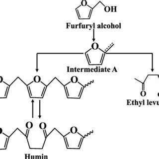Proposed Formation Pathways Of Humin And Ethyl Levulinate From The