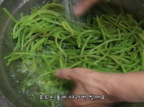 여름반찬으로 딱 좋은 고구마줄기 김치 고구마순 김치