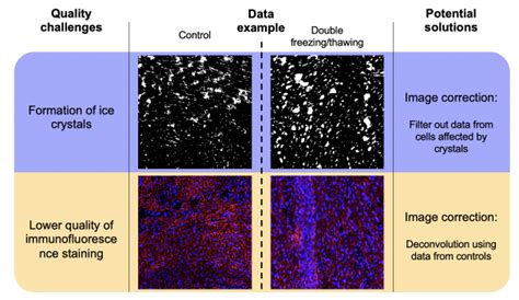 Computational Analysis Of Spatial Transcriptomics Data A Shows The