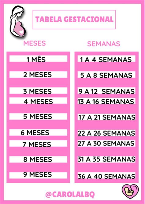 Tabela De Semanas E Meses 2024 Smart Planilhassemanas De 2024