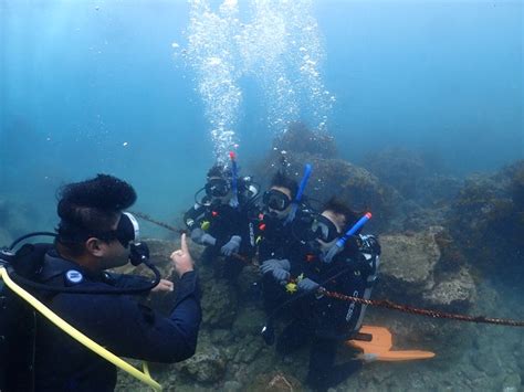 제주도 스킨스쿠버 오픈워터 자격증 도전 2일차 해양실습 성공 네이버 블로그