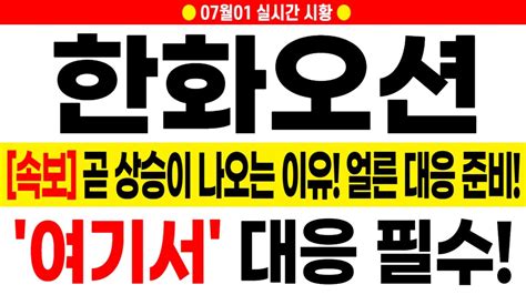 한화오션 주가 전망 긴급 거래량 곧 터집니다 대응하세요 Youtube
