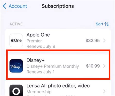 How To Delete Various Subscriptions On IPhone Ultimate Guide
