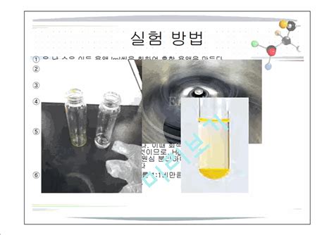 자연과학 화학실험 양이온1족의 정성분석물리화학실험과제