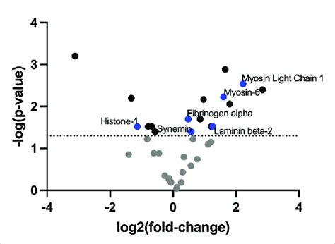 Ecm Decellularized From Suchx Maintains Significant Differences
