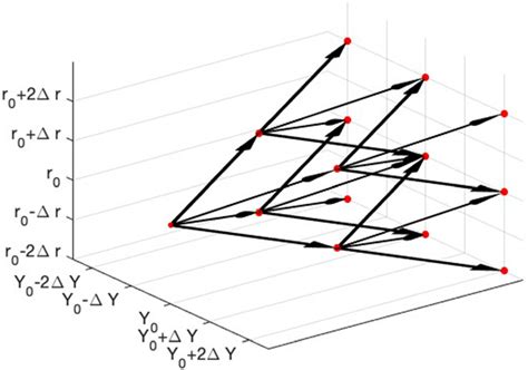 Two Steps Of The Bivariate Binomial Discretization Download