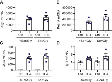 Inverse Data Driven Modeling And Multiomics Analysis Reveals Phgdh As A Metabolic Checkpoint Of
