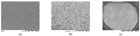 Evaluation Of Polycaprolactone Electrospun Nanofiber Composites For