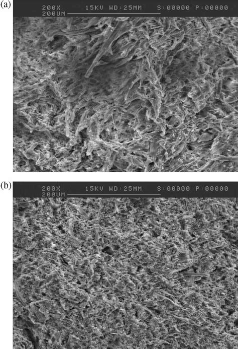 Scanning Electron Micrograph Of The Tensile Fracture Surface Of The Download Scientific Diagram