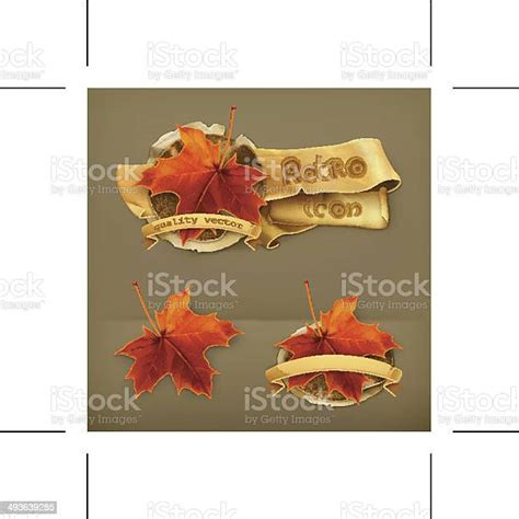 Daun Maple Ilustrasi Stok Unduh Gambar Sekarang Bentuk Botani