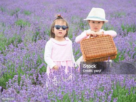 화창한 여름 날에 라벤더 밭에서 재생 하는 두 중국 아기 소녀 사랑 스러운 머리와 아름 다운 어린 소녀 행복 한 아이 들 라이프