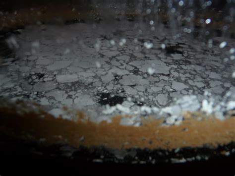 Infected Beer Brew Dudes Infected Beer Brew Dudes