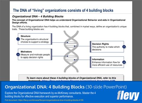 Organizational Dna 4 Building Blocks Ppt Slide Deck