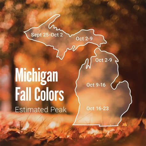 Top 5 Best Places To See The Michigan Fall Colors Treadstone Funding