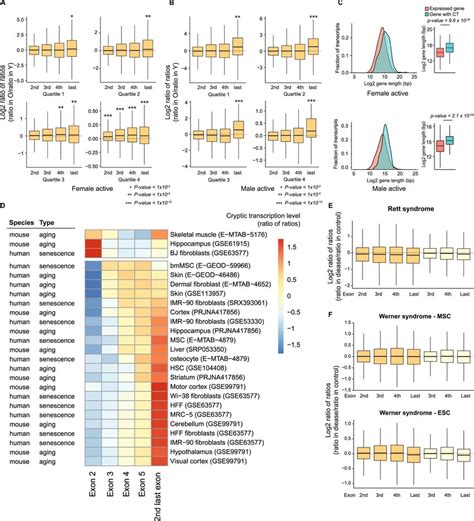 Analysis Of Aging Rna Seq In Nscs And Other Tissues A B Boxplots