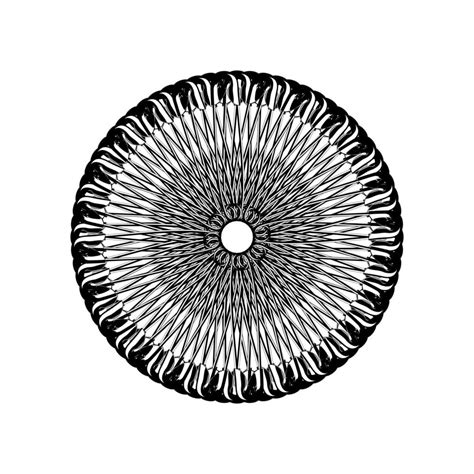 Artistic Circle Shape Made From Safety Pin Composition For Decoration Ornate Logo Website