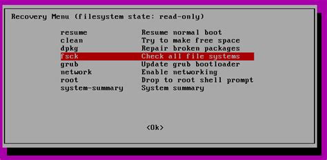 Jak Używać „fsck” Do Naprawy Błędów Systemu Plików W Linux Ilinuxgeek