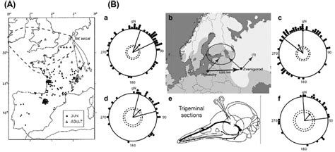 3 Displacement Experiments Provide Key Evidence For Understanding The Download Scientific