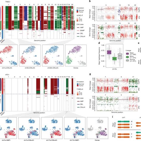 Iterative Strategy To Identify Tumor Subclones A Numbat Aggregates Download Scientific Diagram