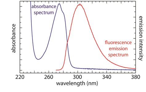 Fluorescence Spectroscopy Interpretation At Pauline Dane Blog