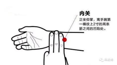 一个穴位疏通全身气血！经络身体方法