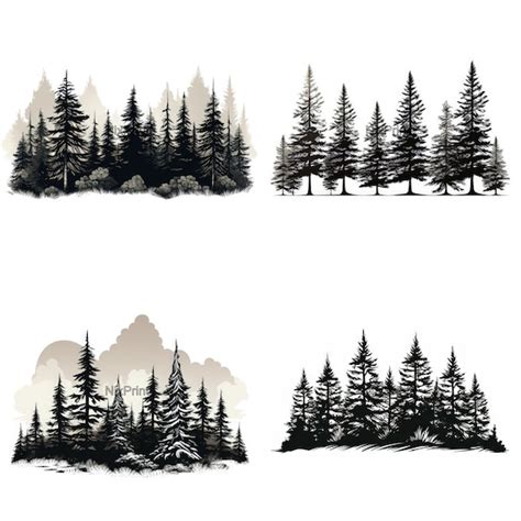 Black And White Pine Tree Clipart