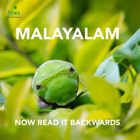 Kerala Tourism On Linkedin Internationalmotherlanguageday Palindrome