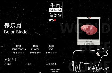 牛肉中英文名称肉块高清图分割部位图肉质特性以及烹饪方式 世界牛肉指南牛肉解剖室 知乎