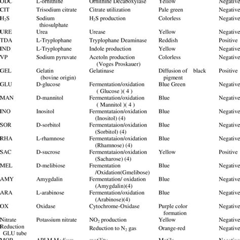 Api 20 E Test Results For Yellow Coloured Bacteria Isolated From The Download Scientific