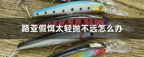 路亚假饵太轻抛不远怎么办 鱼百科