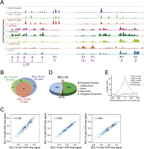 Transcriptional Silencing Of γ Globin By Bcl11a Involves Long Range