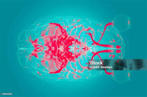 시각 기능 뇌 및 시력 시각 시스템에 의해 보내지는 충동 시신경 시신경에 대한 스톡 사진 및 기타 이미지 시신경 눈 신체 부분 망막 Istock