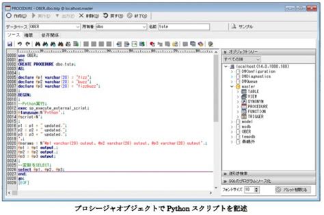 Object Browser ロック 確認 Object Browser データベース 表示 Sklf