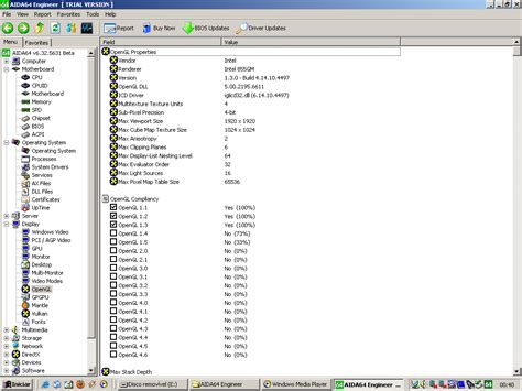 Post Your AIDA64 OpenGL Compliancy TechPowerUp Forums