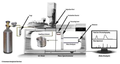 Gas Chromatography Mass Spectrometry White Paper Mass Spectrometry Gas Chromatography