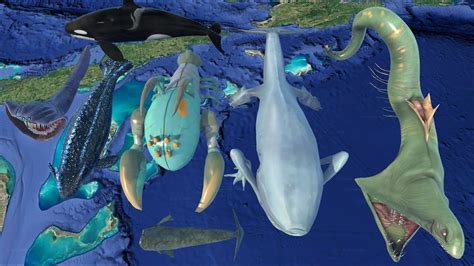 Scp 3700 2 Vs Aircraft Killer Whale Vs Sea Eater Scp Vs Legendary 3d Sea Monster Size