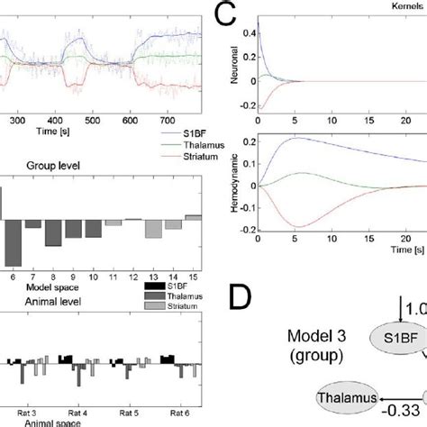 Dynamic Causal Modelling A Example Showing How Dcm Model 1 Fitted Download Scientific