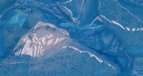 What Is Pva Primer And What Is It Used For