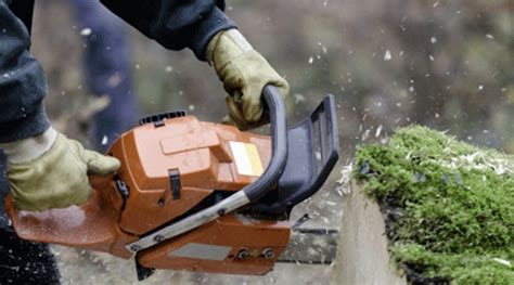 Understanding Cut Resistant Levels Infographic Ehs Today