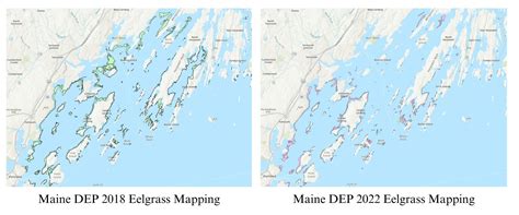 Maine Dep 2018 And 2022 Eelgrass Mapping • Friends Of Casco Bay