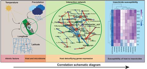 microbiome variation correlates with the insecticide susceptibility in