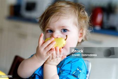 귀여운 사랑 스러운 유아 소녀 신선한 배 먹고입니다 과일을 들고 1 년의 배가 행복 한 아기 아이 배에 대한 스톡 사진 및 기타 이미지 Istock