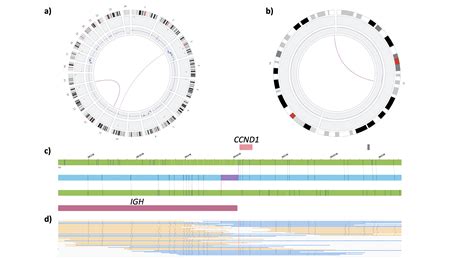 Optical Genome Mapping Bionano At Jackson Steinfeld Blog