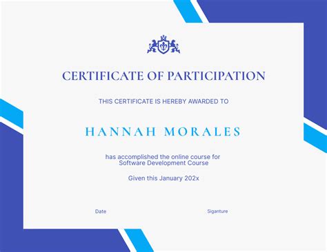 Award For Participation In Software Development Course Online